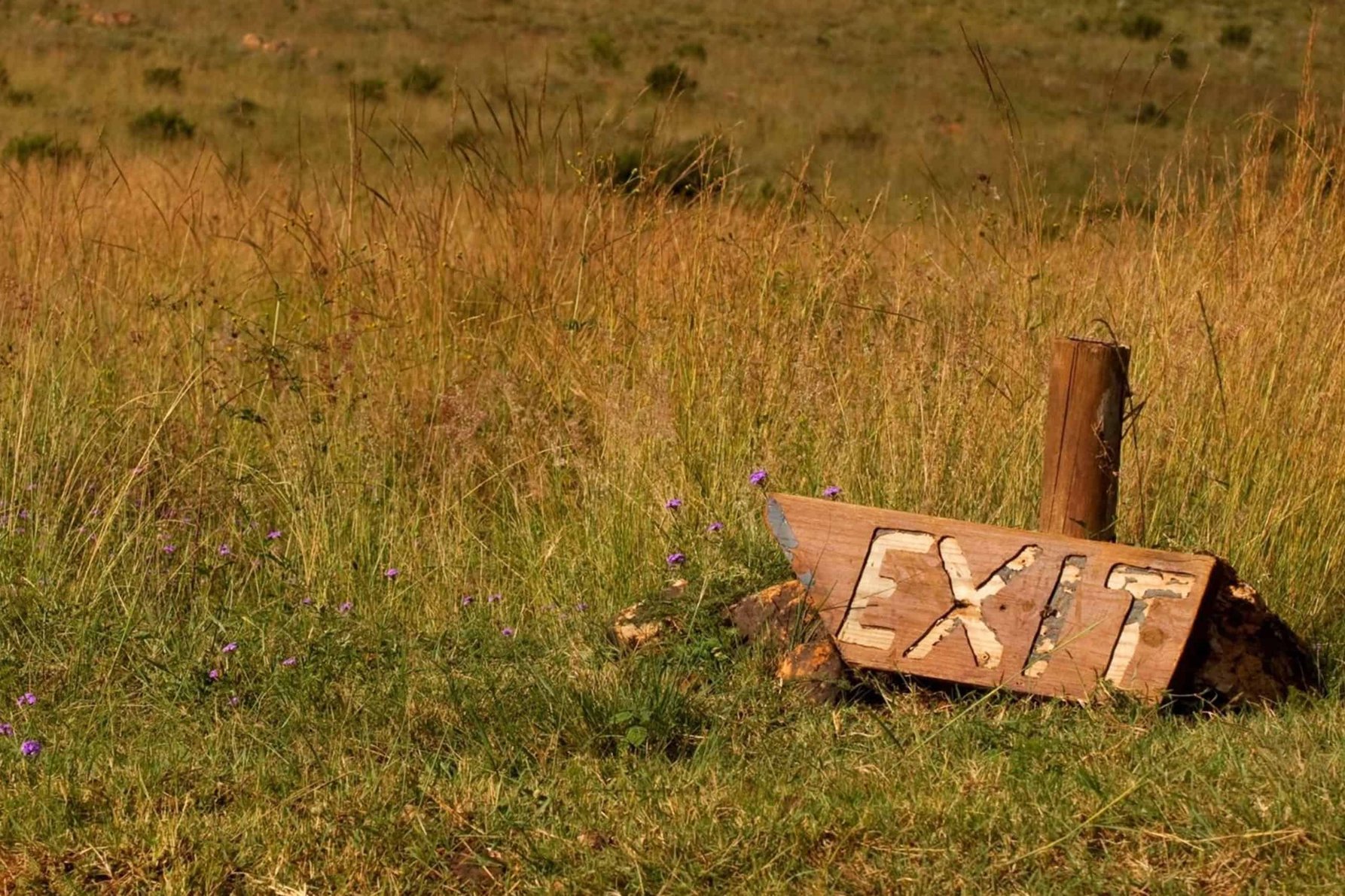 The ultimate guide to exit planning for business owners