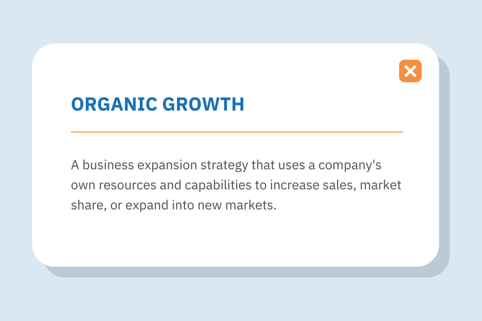 10 Proven Strategies for Organic Business Growth